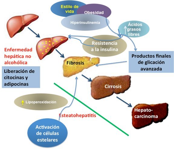 Artículos científicos | ASSCAT