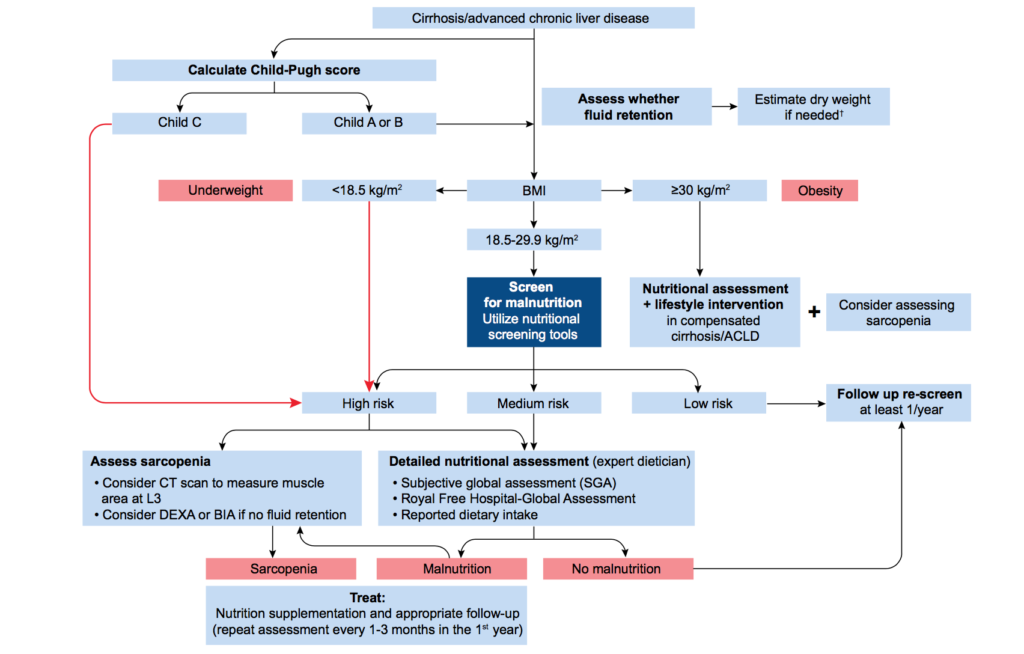 Pautas de práctica clínica de la EASL para mejorar la nutrición en la ...