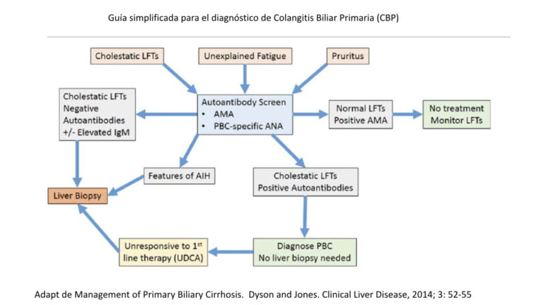 “Colangitis Biliar Primaria (CBP)” | ASSCAT
